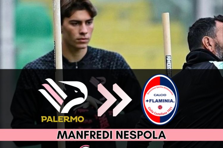 Calciomercato Palermo, ufficiale: Nespola al Flaminia Civita Castellana ...